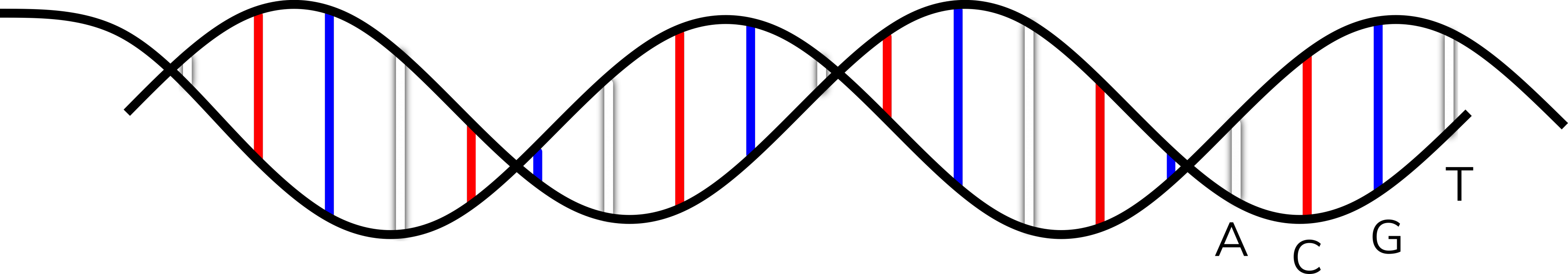 A-C-G-T: Analýza českých genomů pro teranostiku (ACGT)